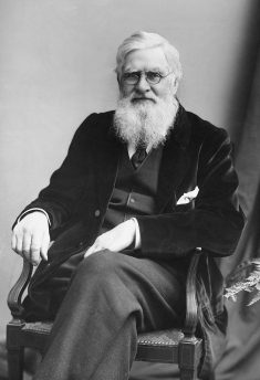 Charles Darwin and Alfred Wallace on Theory of Evolution