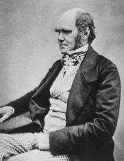 Famous People with OCD (Obsessive-compulsive disorder) - Totally History